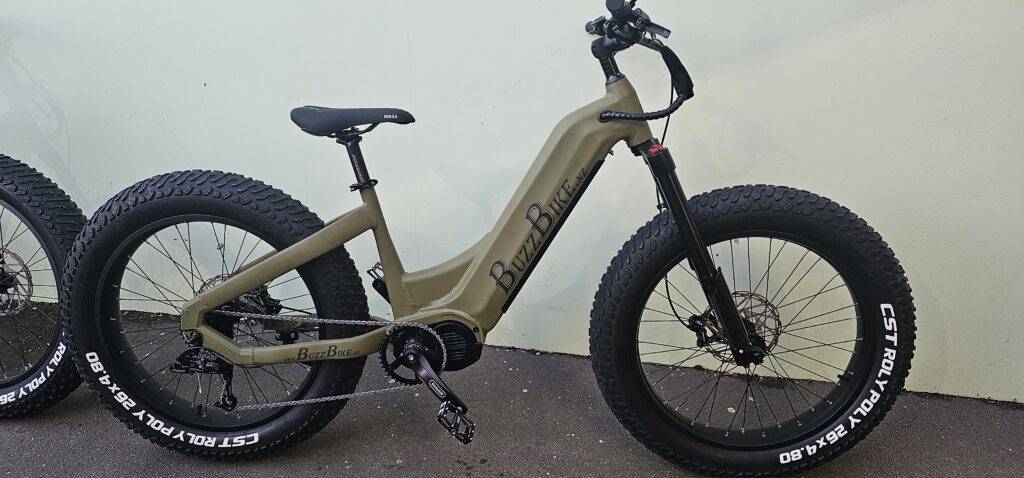 Rover Step-Thru All-Terrain Adventure – Buzzbike: Electric Bikes for ...